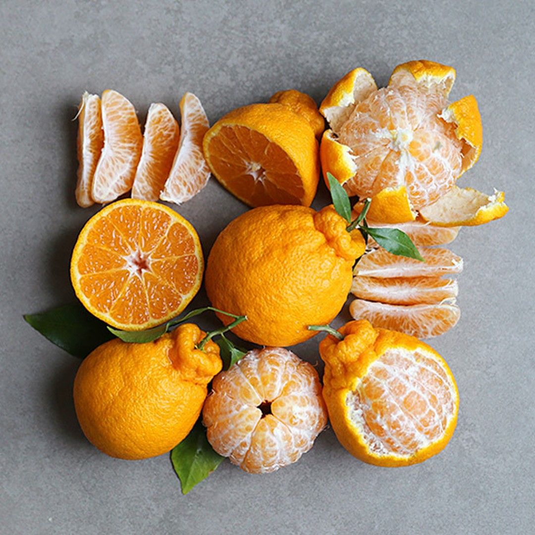 Premium Korean Online boutique, SoGoodK │ 쏘굿케이